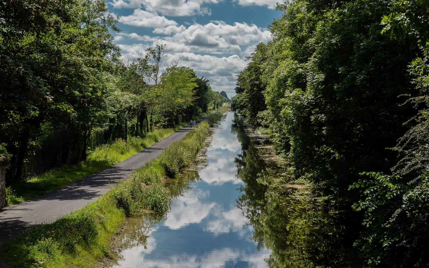 Things to do in Celbridge, Things to do in Kildare | Cliff at Lyons